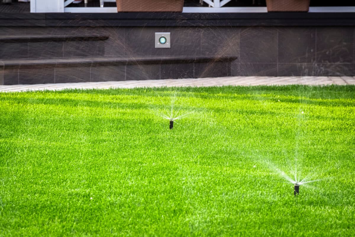 Designing an Irrigation System: A Beginner's Guide