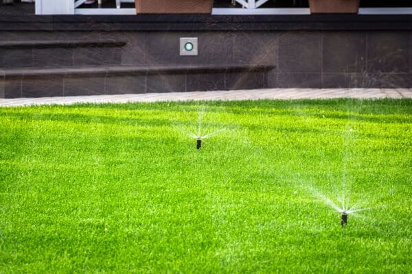 Designing An Irrigation System A Beginners Guide